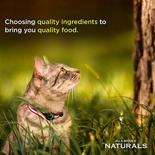 Diamond Naturals Premium Real Meat Recipe Dry Indoor Cat Food with Protein from Cage-Free Chicken, Antioxidants, Probiotics to Support Healthy Immune and Digestive Systems 18lb