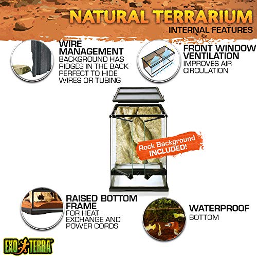 Exo Terra Glass Terrarium Kit, for Reptiles and Amphibians, Mini Tall, 12 x 12 x 18 inches, PT2602A1