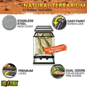 Exo Terra Glass Terrarium Kit, for Reptiles and Amphibians, Mini Tall, 12 x 12 x 18 inches, PT2602A1