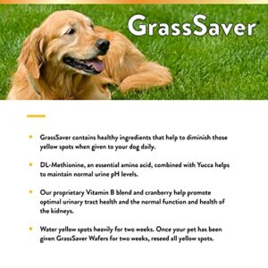 NaturVet GrassSaver| Wafers for Dogs – Help Keep Grass Green, Rid Your Lawn of Yellow Patches Caused by Dog Urine| No More Yellow Spots| DL-Methionine & Enzymes – 300 Ct