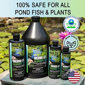 MICROBE-LIFT ALGA32 Algaway 5.4 Algae Control Treatment for Ponds and Water Gardens, Safe for Koi Fish, Goldfish, Plants, and Decorations, 32 Ounces