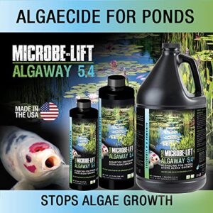 MICROBE-LIFT ALGA32 Algaway 5.4 Algae Control Treatment for Ponds and Water Gardens, Safe for Koi Fish, Goldfish, Plants, and Decorations, 32 Ounces