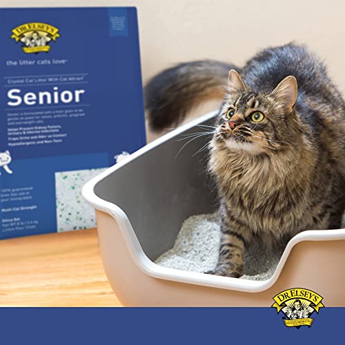 Precious Cat Senior Litter, 8lbs