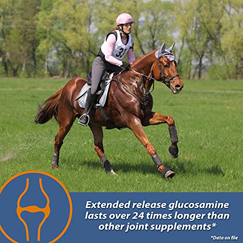 Farnam MaxFlex XR Extended Release Joint Supplement for Horses, Provides a continuous supply of joint health ingredients for 24 hours, 0.9375 pound, 30 Day Supply