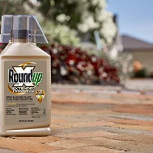 Roundup Concentrate Extended Control Weed & Grass Killer Plus Weed Preventer II