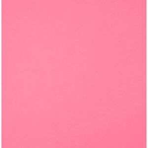 Exact - 26741 Color Copy Paper, 8-1/2 x 11 Inches, 20 lb, Bright Pink, Pack of 500