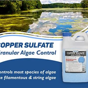 Crystal Blue Copper Sulfate Algaecide - Granular Aquatic Grade Copper Sulfate for Pond Algae Control - 5 Pounds