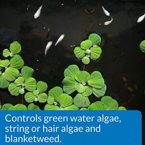 API POND ALGAEFIX Algae Control 16-Ounce Bottle (169B)