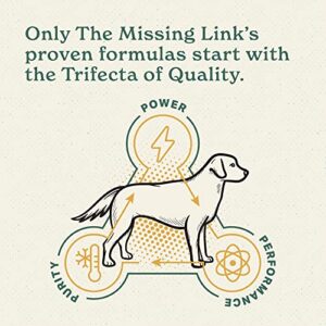 The Missing Link Hip & Joint Probiotics Superfood Supplement Powder for Dogs - Omegas 3&6, Fiber, Glucosamine, Chondroitin, MSM, HA - Cartilage & Bone Health, Joint Mobility & Flexibility - 1lb