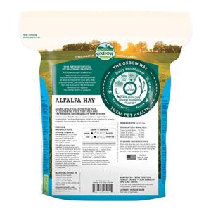 Oxbow Animal Health Alfalfa Hay, For Rabbits, Guinea Pigs, And Small Pets, Grown In The USA, Hand-Selected And Hand-Sorted, 15 Ounce