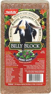 evolved habitats 94010 billy goat mineral supplement treat block - berry bush - 4 lbs.