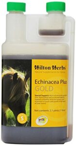 hilton herbs echinacea plus gold liquid herbal immunity supplement for horses, 2.1pt bottle