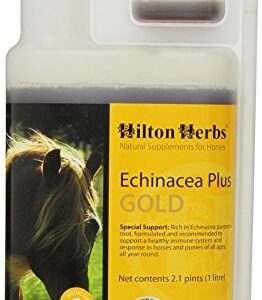 Hilton Herbs Echinacea Plus Gold Liquid Herbal Immunity Supplement for Horses, 2.1pt Bottle