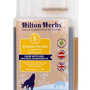 Hilton Herbs Echinacea Plus Gold Liquid Herbal Immunity Supplement for Horses, 2.1pt Bottle