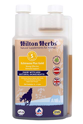 Hilton Herbs Echinacea Plus Gold Liquid Herbal Immunity Supplement for Horses, 2.1pt Bottle