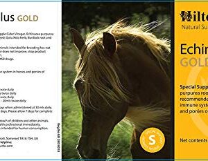 Hilton Herbs Echinacea Plus Gold Liquid Herbal Immunity Supplement for Horses, 2.1pt Bottle