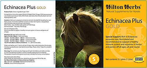 Hilton Herbs Echinacea Plus Gold Liquid Herbal Immunity Supplement for Horses, 2.1pt Bottle