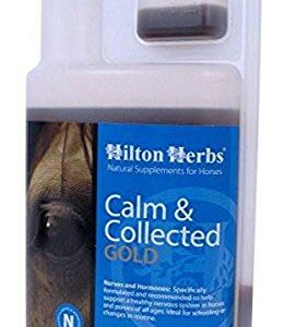 Hilton Herbs Calm and Collected Gold Liquid Herbal Supplement for Nervous/Agitated Horses, 2.1pt Bottle