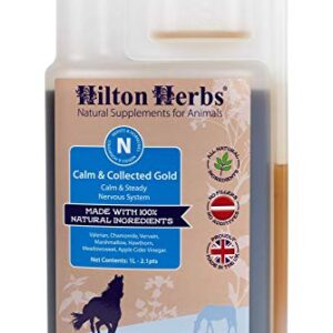 Hilton Herbs Calm and Collected Gold Liquid Herbal Supplement for Nervous/Agitated Horses, 2.1pt Bottle