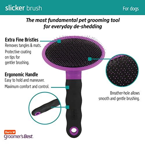 Hartz Groomer's Best Deshedding Slicker Dog Brush, Black/Violet