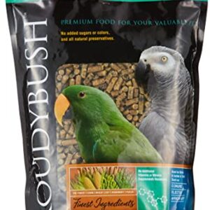 Roudybush Daily Maintenance Bird Food, Small, 22-Ounce