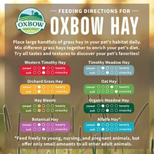 Oxbow Animal Health Orchard Grass Hay - All Natural Grass Hay for Chinchillas, Rabbits, Guinea Pigs, Hamsters & Gerbils - 50 lb.