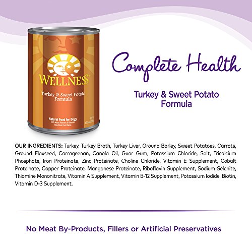 Wellness Complete Health Natural Wet Canned Dog Food Turkey & Sweet Potato, 12.5-Ounce Can (Pack of 12)