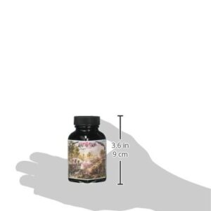 Noodlers Ink 3 Oz Antietam