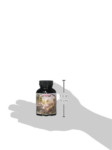 Noodlers Ink 3 Oz Antietam