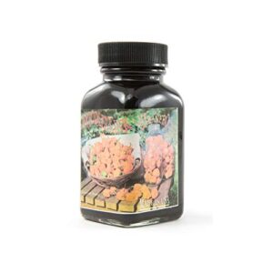 noodler's fountain ink, 3 oz bottle, habannero (19021)