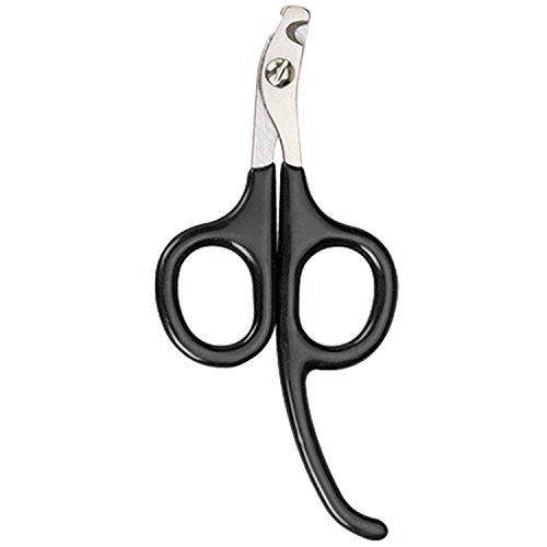 Master Grooming Tools Pet Nail Scissors with Finger Rests—Stainless Steel Scissors for Trimming Nails on Cats and Birds - Small, 3½"