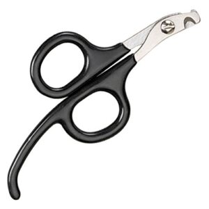 Master Grooming Tools Pet Nail Scissors with Finger Rests—Stainless Steel Scissors for Trimming Nails on Cats and Birds - Small, 3½"