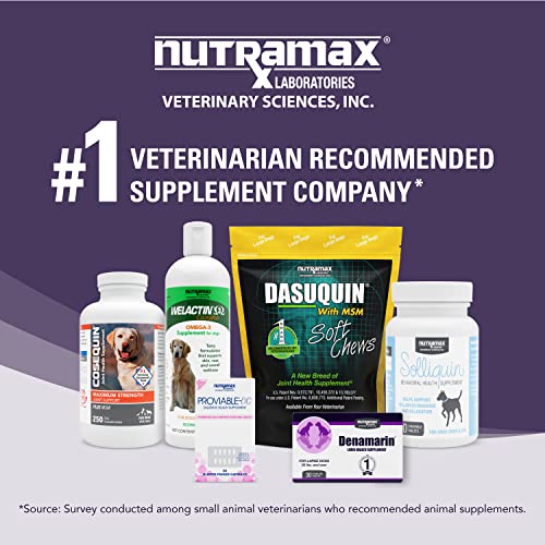 Nutramax Denamarin Liver Health Supplement for Medium Dogs - With S-Adenosylmethionine (SAMe) and Silybin, 30 Tablets