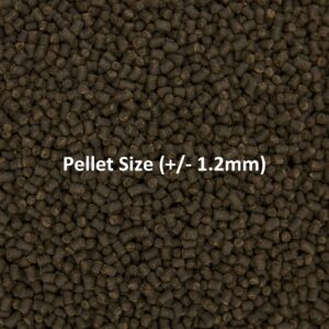 Ocean Nutrition Formula Two Pellets 7-Ounces (200 Grams) Jar - Small Pellet Size