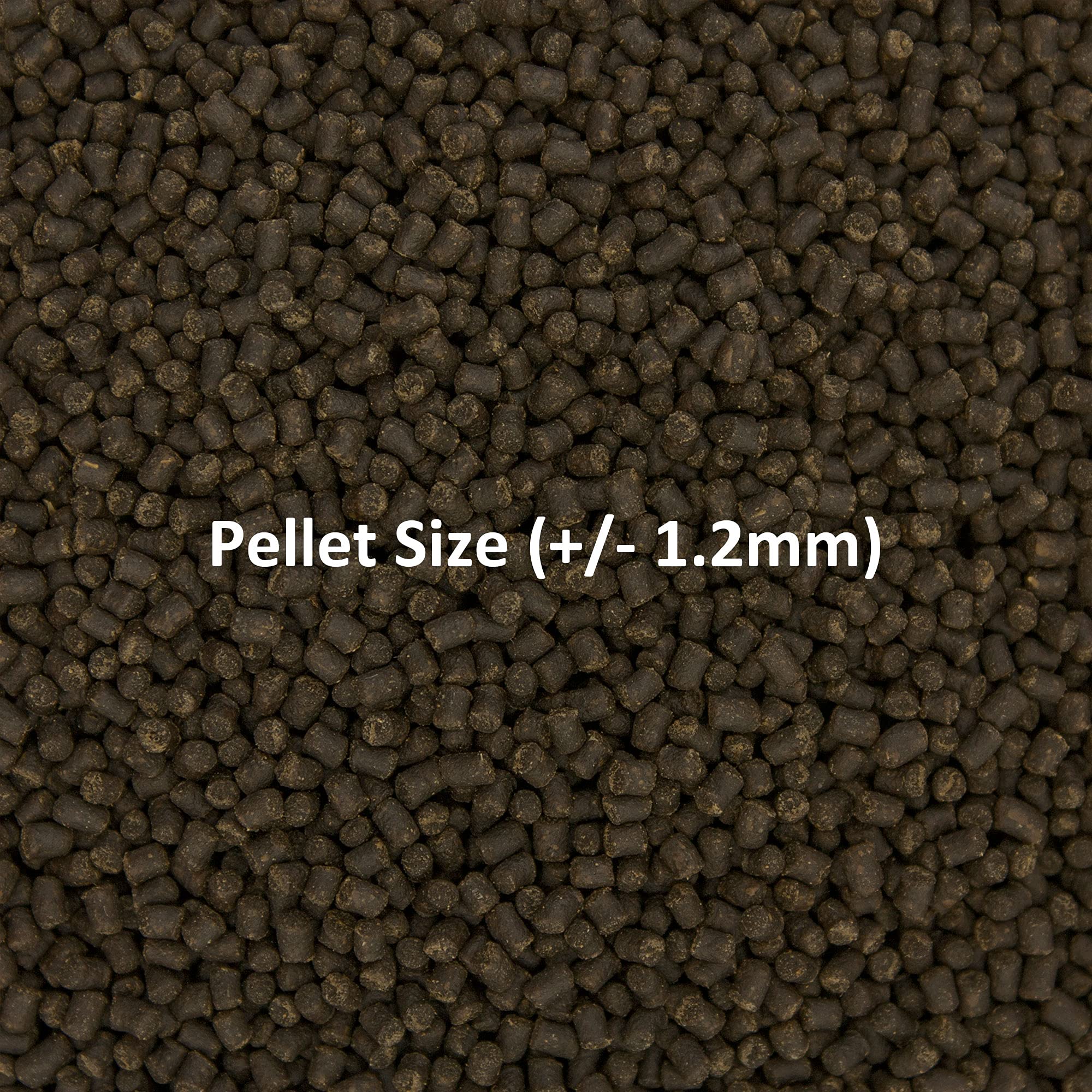 Ocean Nutrition Formula Two Pellets 7-Ounces (200 Grams) Jar - Small Pellet Size