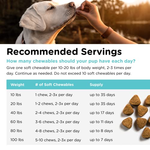 Nutri-Vet Pet-Ease Soft Chews for Dogs - Vet Formulated with Chamomile and Tryptophan to Soothe and Calm Dogs - Approximately 65 Soft Chews