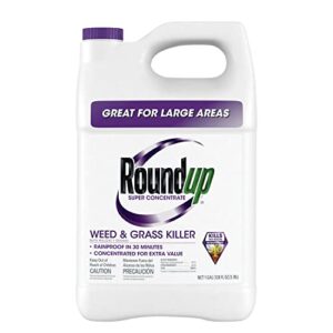 roundup super concentrate weed & grass killer, 1 gal.