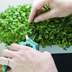 AeroGarden Garden Shears