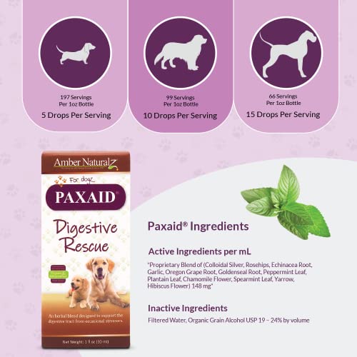 Amber NaturalZ - Paxaid Digestive Rescue - Appetite, Gut, Digestive Health, and Vitality Support for Puppies and Dogs. Helps Support Digestive enzymes and Occasional gastric upsets - 1 Oz Bottle