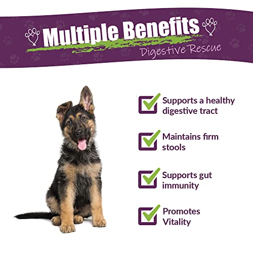 Amber NaturalZ - Paxaid Digestive Rescue - Appetite, Gut, Digestive Health, and Vitality Support for Puppies and Dogs. Helps Support Digestive enzymes and Occasional gastric upsets - 1 Oz Bottle