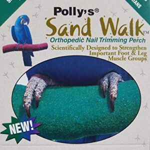 Polly's Sand Walk Orthopedic Bird Perch, Medium