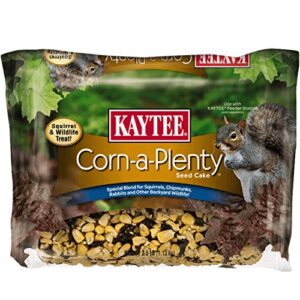 kaytee corn a plenty treat seed cake food for wild squirrels, chipmunks, rabbits & other backyeard wildlife, 2.5 pounds