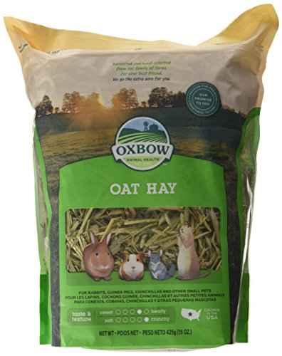 Oxbow Oat Hay 15 Ounce Bag For Small Pets