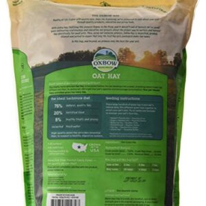 Oxbow Oat Hay 15 Ounce Bag For Small Pets