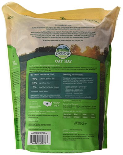 Oxbow Oat Hay 15 Ounce Bag For Small Pets