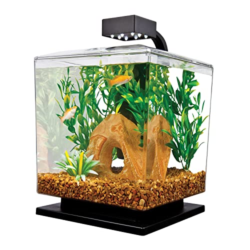 Tetra 29137 Water Wonder Aquarium Kit, Black, 1.5 Gallons