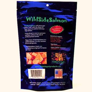 WildSide Salmon Cat Treats - 3 oz