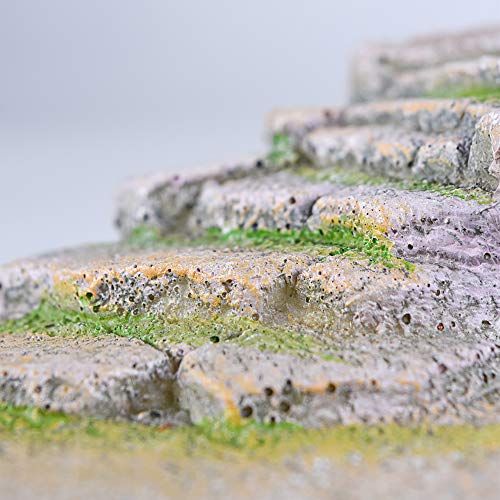 PENN-PLAX Reptology Shale Scape Step Ledge & Cave Hideout – Decorative Resin for Aquariums & Terrariums – Great for Reptiles, Amphibians, and Fish – Medium