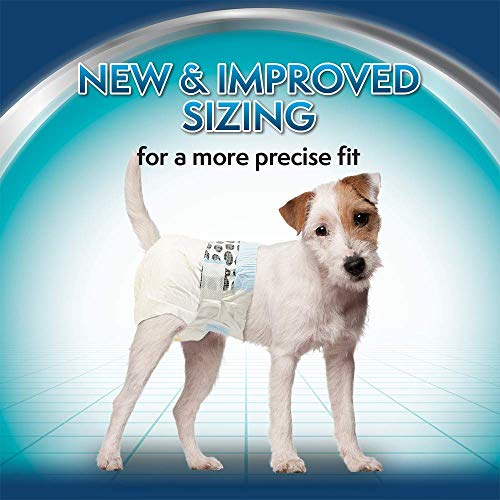 Simple Solution Disposable Dog Diapers for Female Dogs | Super Absorbent Leak-Proof Fit | Small | 30 Count