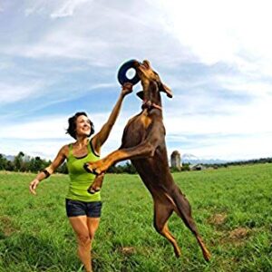 ChuckIt! Zipflight Flyer Dog Frisbee & Dog Toy that Floats; Gentle On Dog's Teeth and Gums; Medium